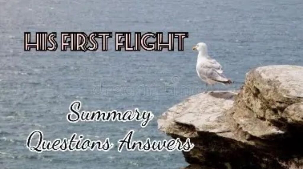His First Flight Summary Questions Answers - Learning Academy